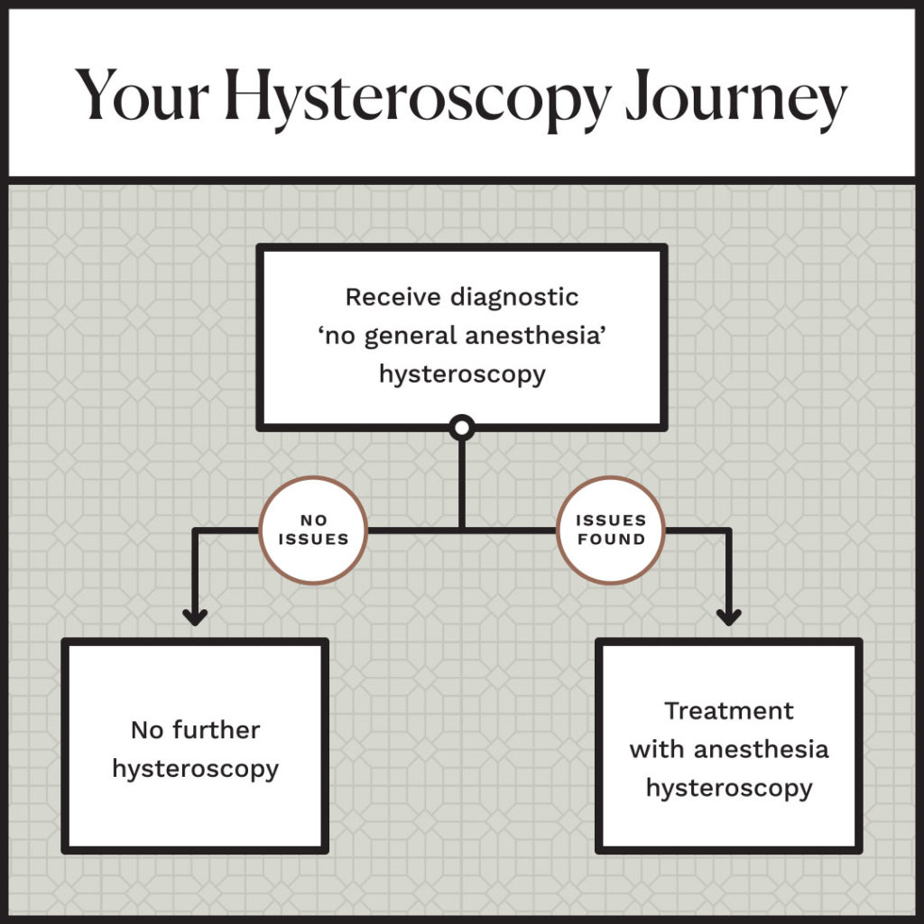 Hysteroscopy - Infertility Diagnostic Process - Las Vegas Infertility