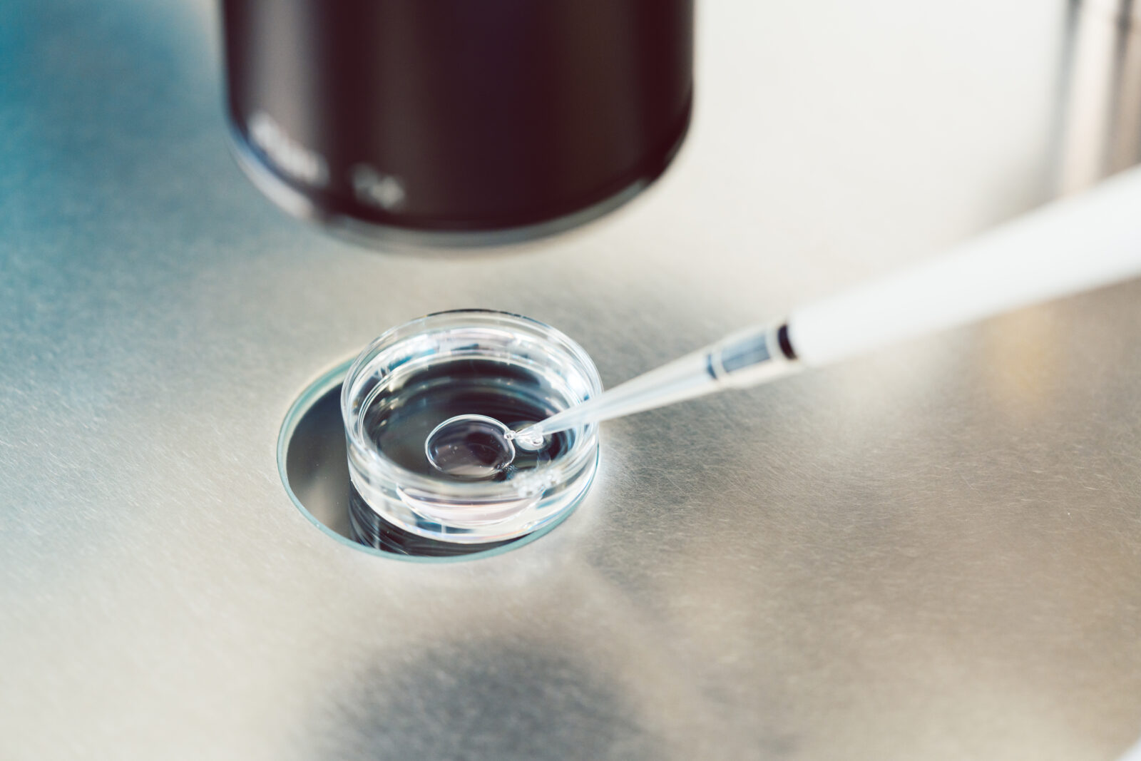 IVF Cycle Costs – Costs of IVF – Las Vegas Fertility